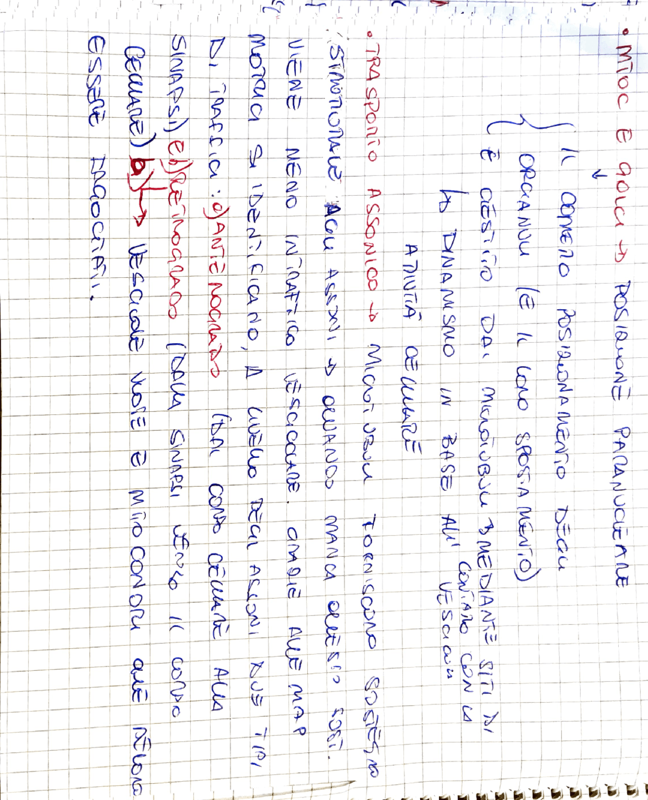 Il Citoscheletro Cellulare Docsity