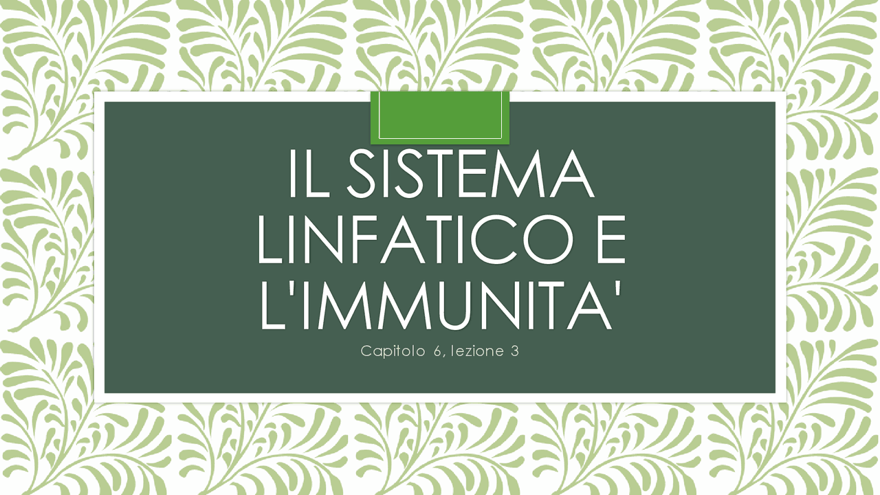 Il Sistema Linfatico E Limmunità Docsity