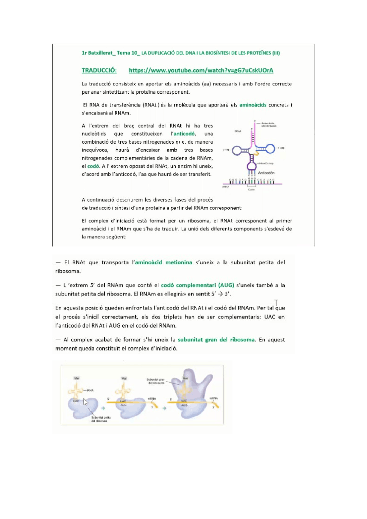 Traducció Biologia 1r Batxillerat Docsity