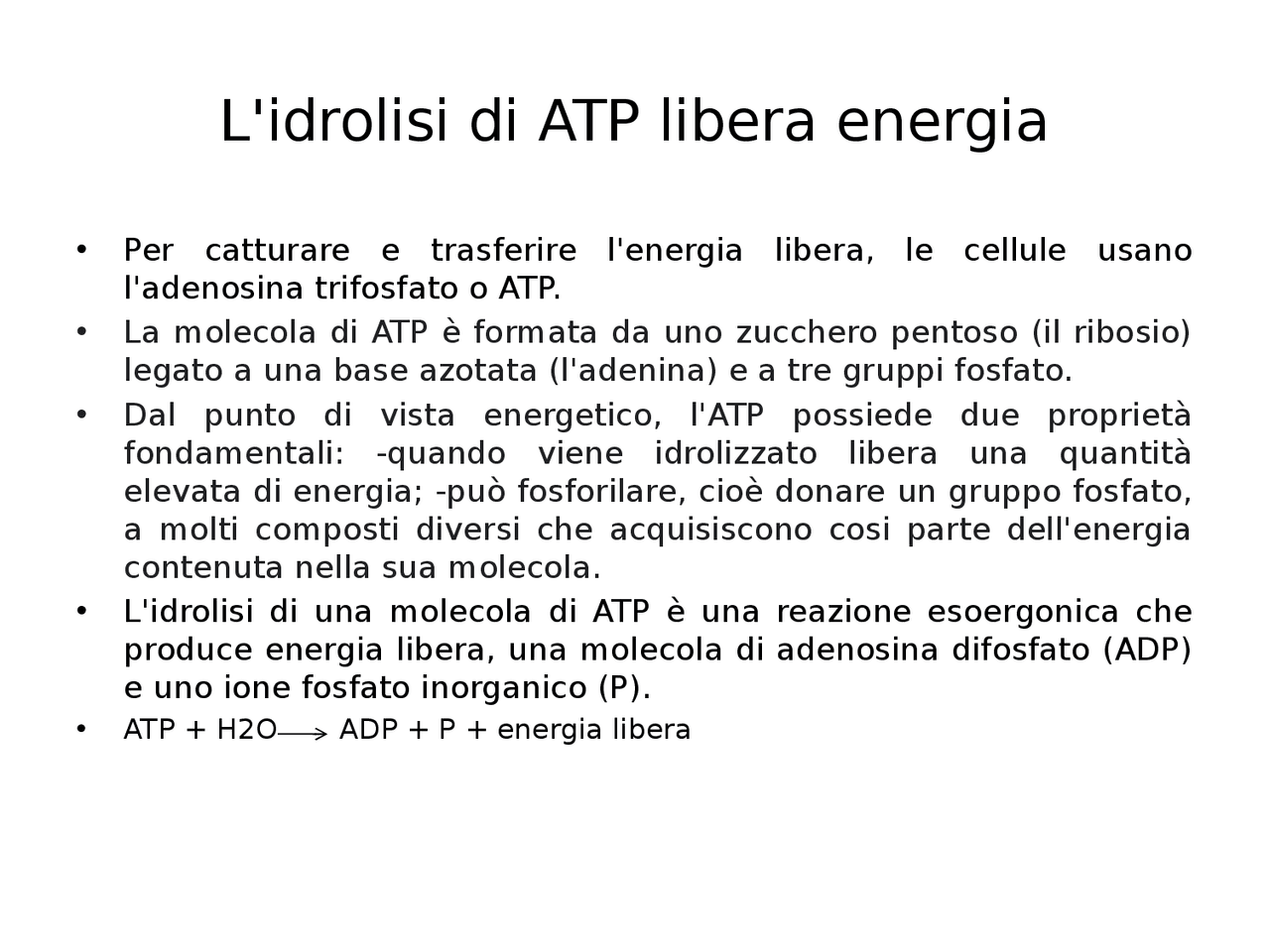 Power Point Sugli Enzimi Chimica Liceo Classico Docsity