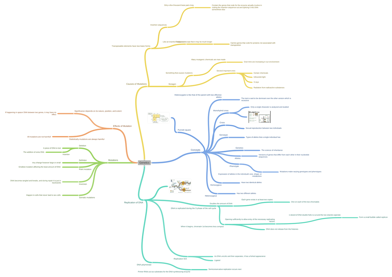 Genetics Concept Map Docsity