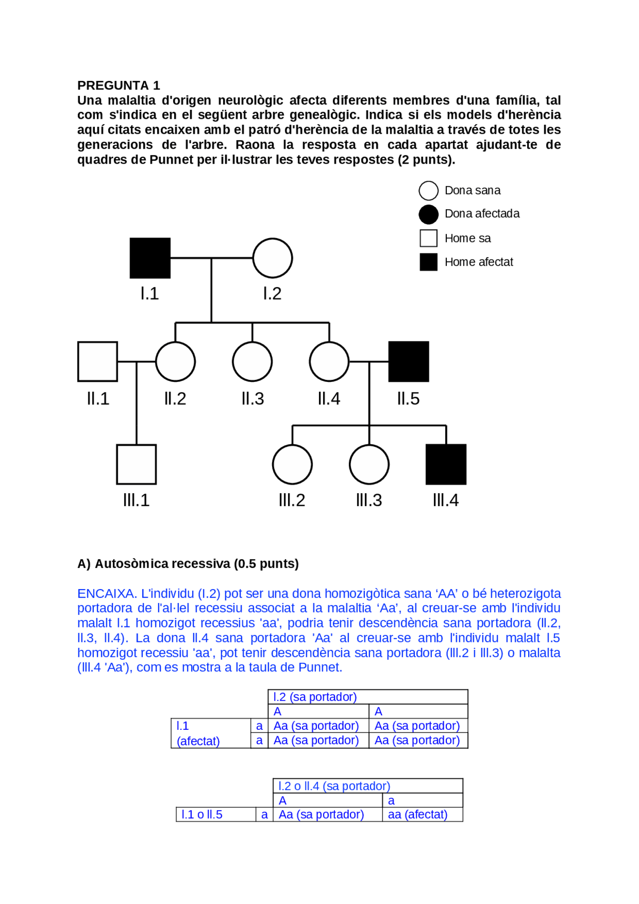Bases genètiques de la conducta_PAC1 Solucions - Docsity