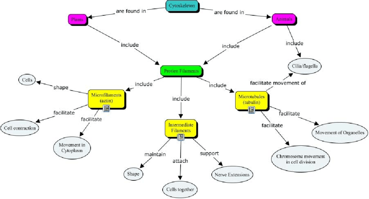 Cell Reproduction Concept Map
