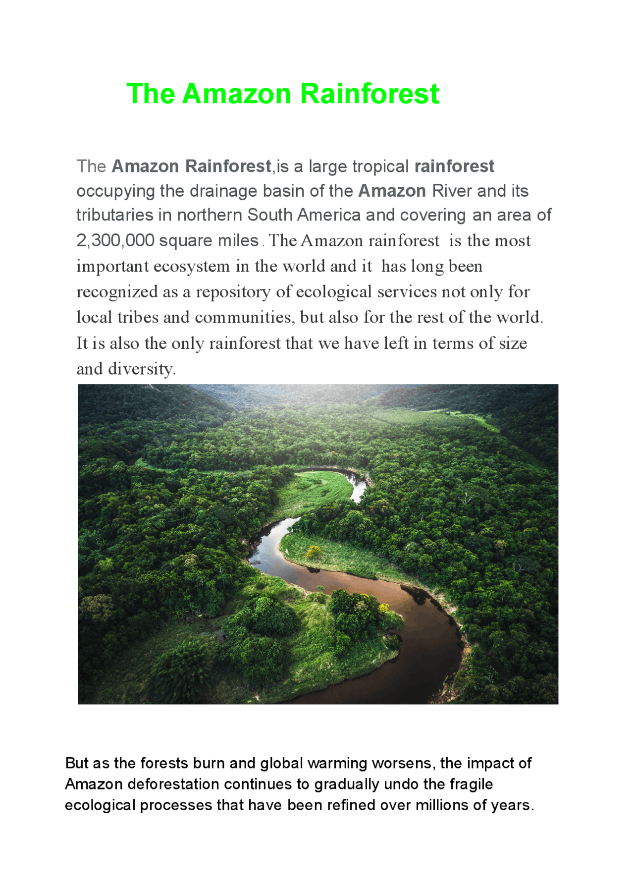 The amazon rainforest | Apuntes de Inglés | Docsity