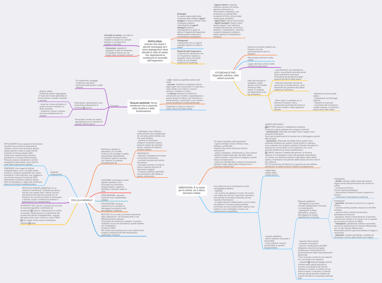Mappe Concettuali Patologia Docsity