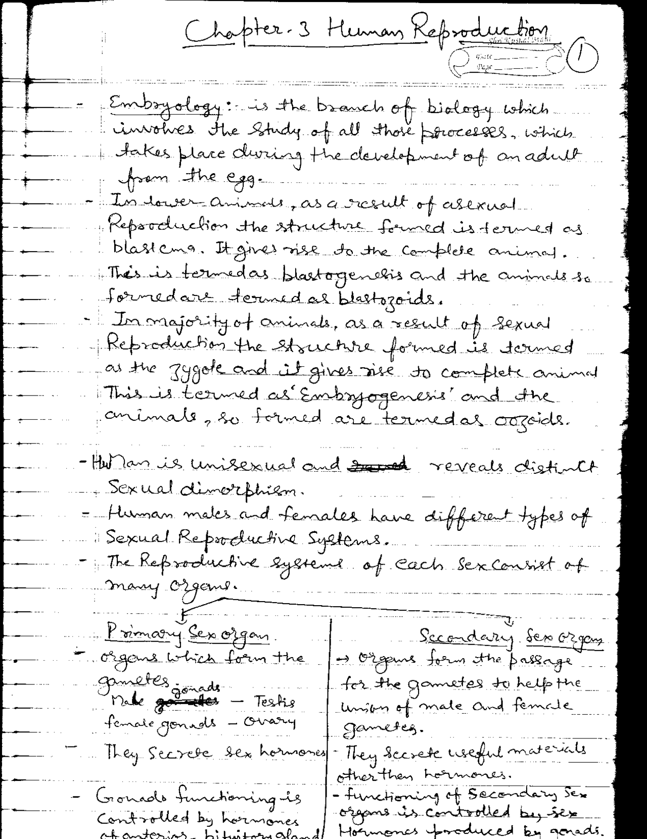 Human reproduction class 12 - Docsity