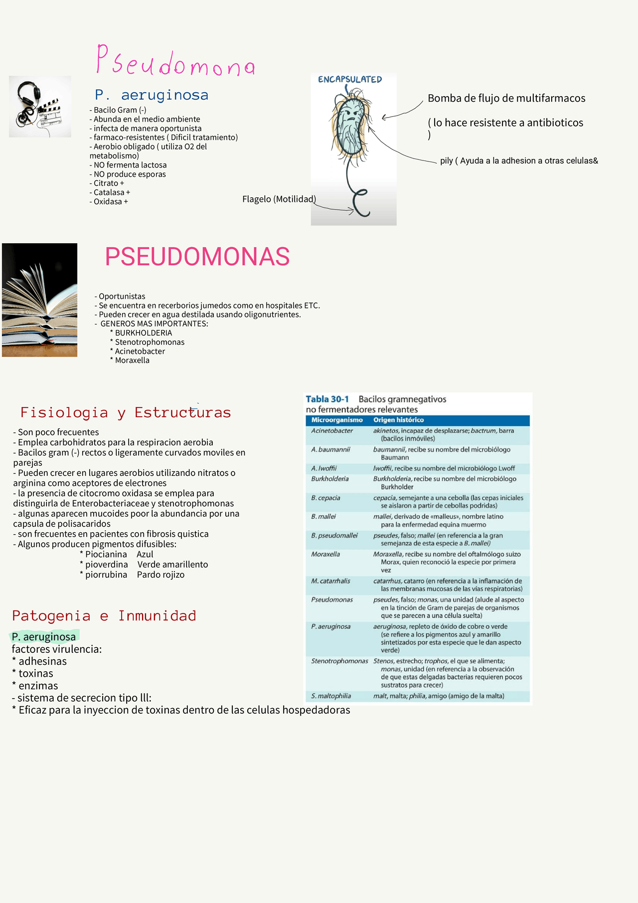 Todo Lo De Micro Diapositivas De Microbiología Docsity