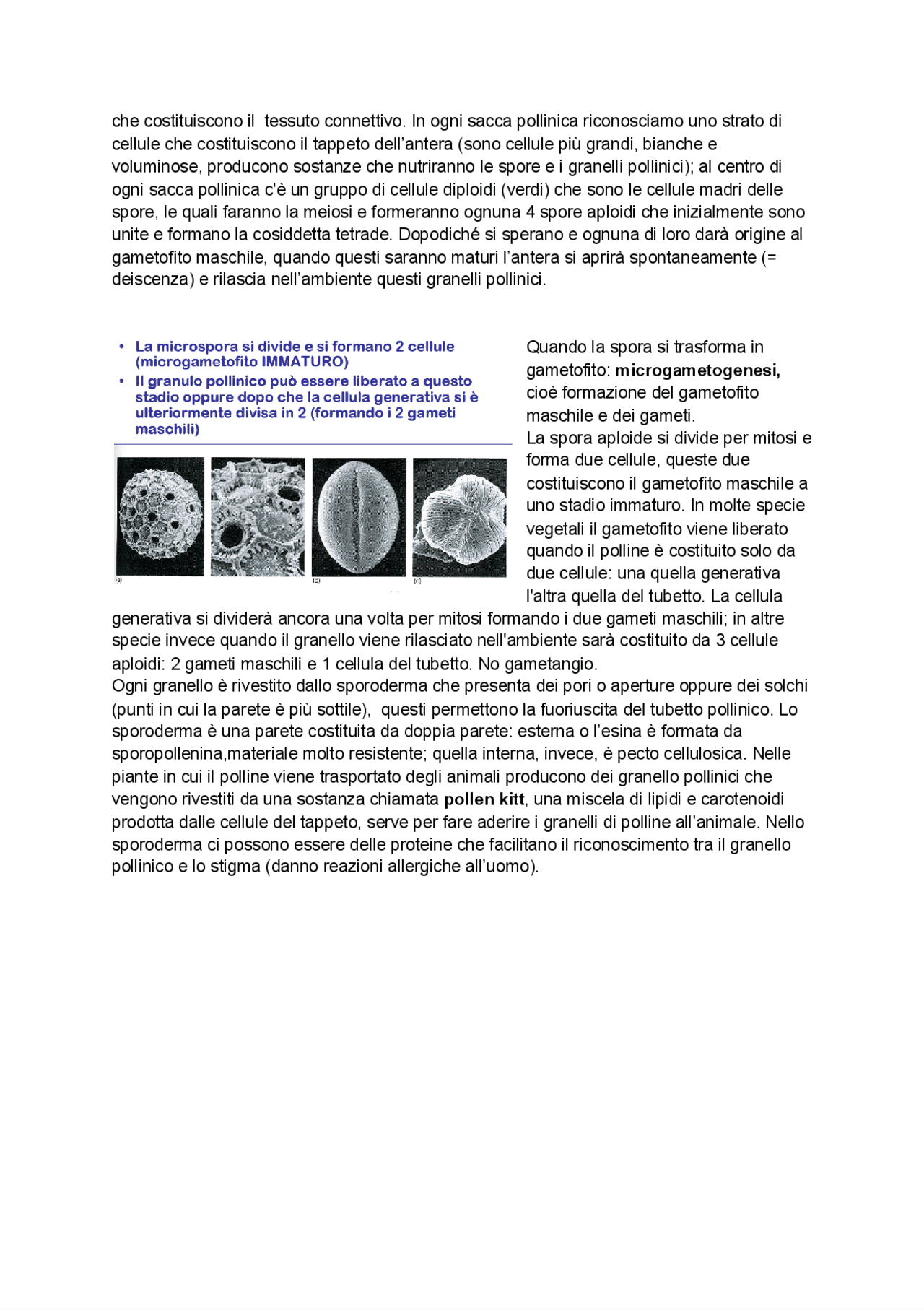 Dispense Di Botanica Sistematica E Anatomia Pt 5 Docsity