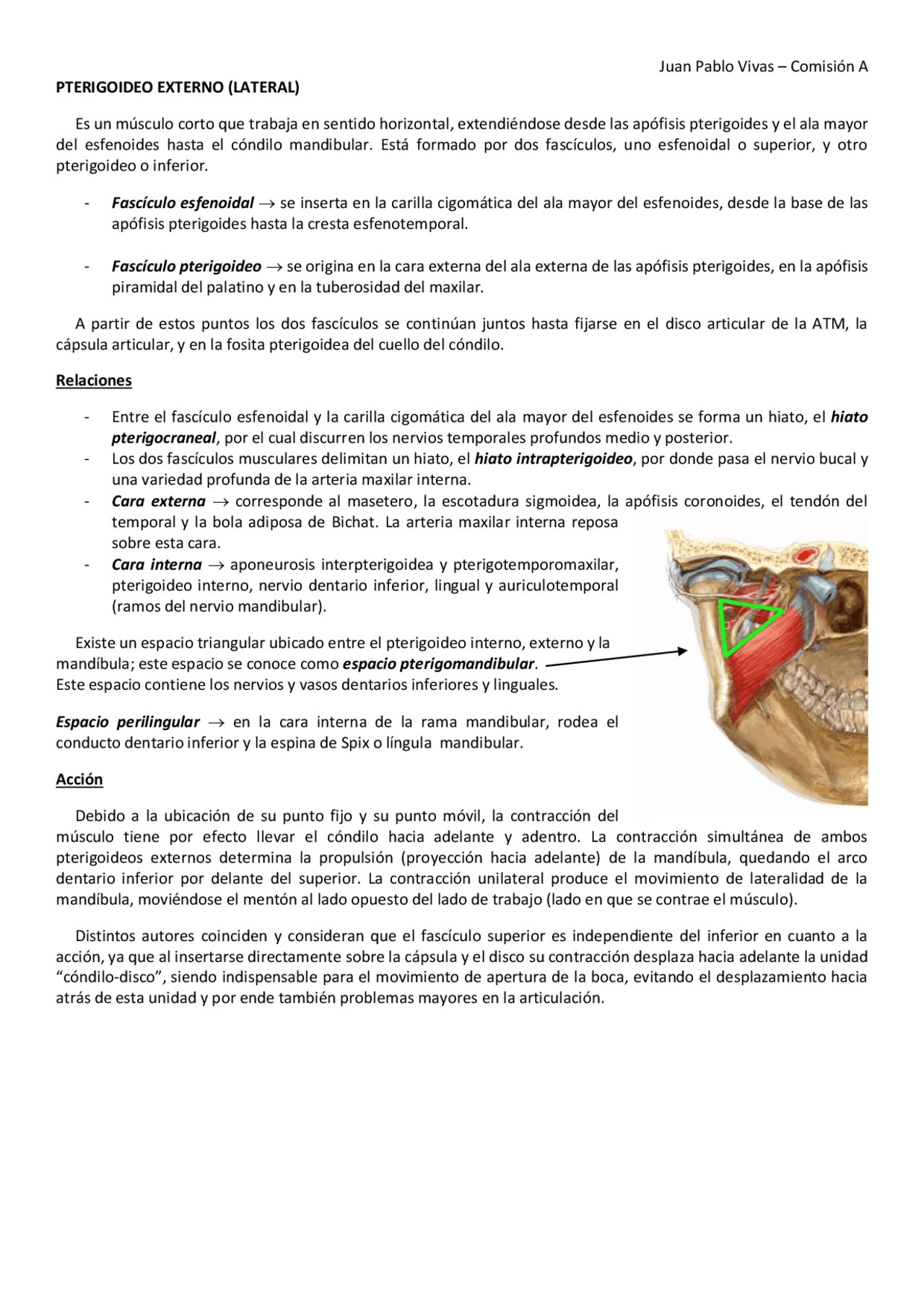 Anatomía Del Espacio Pterigomandibular Músculos De La Articulación