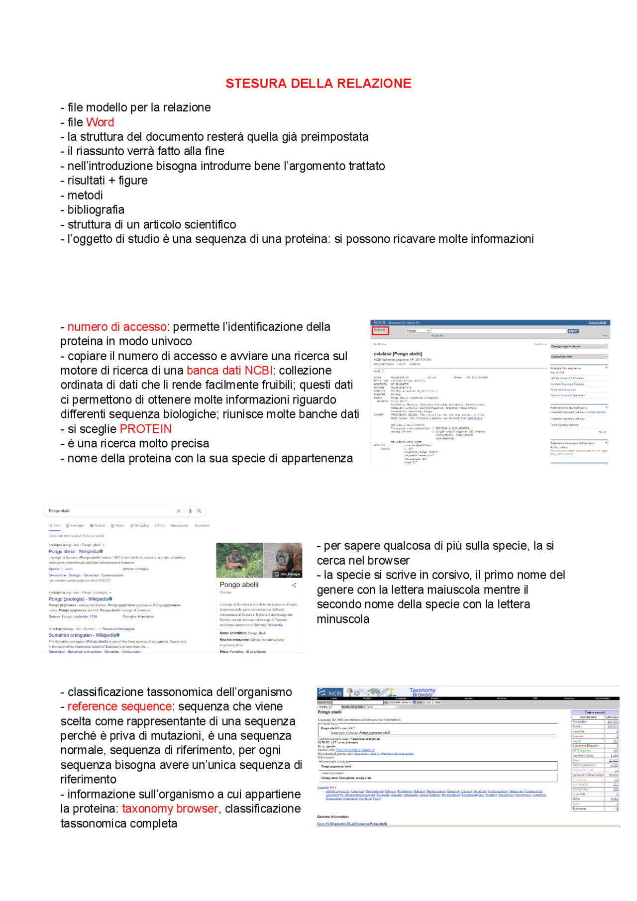 Esercitazioni Bioinformatica Appunti Di Bioinformatica Docsity
