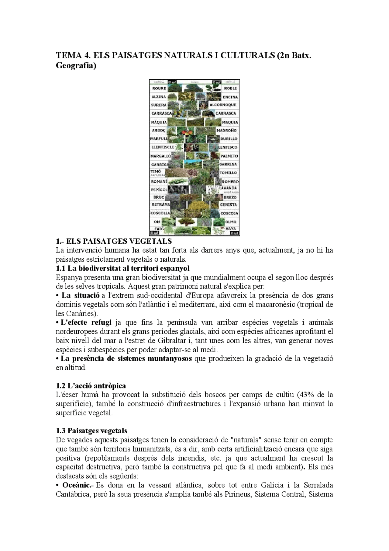 Tema 4 Geografia 2n Batx Docsity
