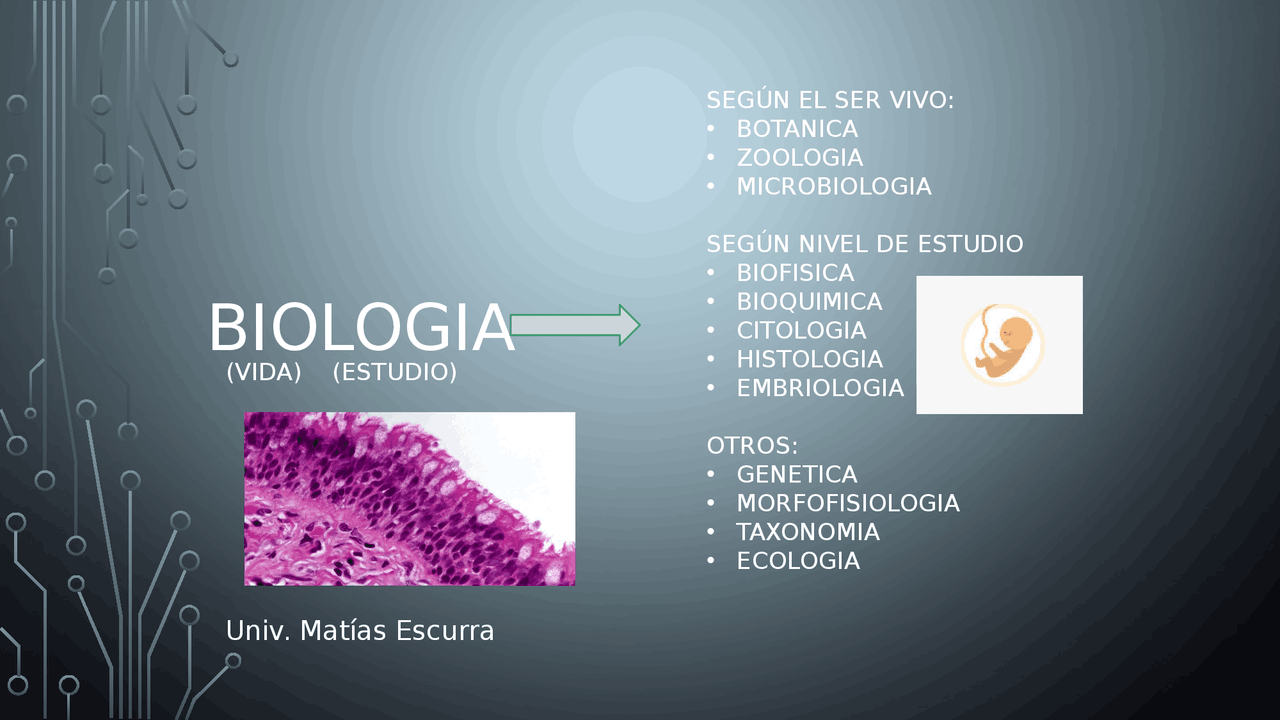 La célula del cuerpo humano | Diapositivas de Biología | Docsity