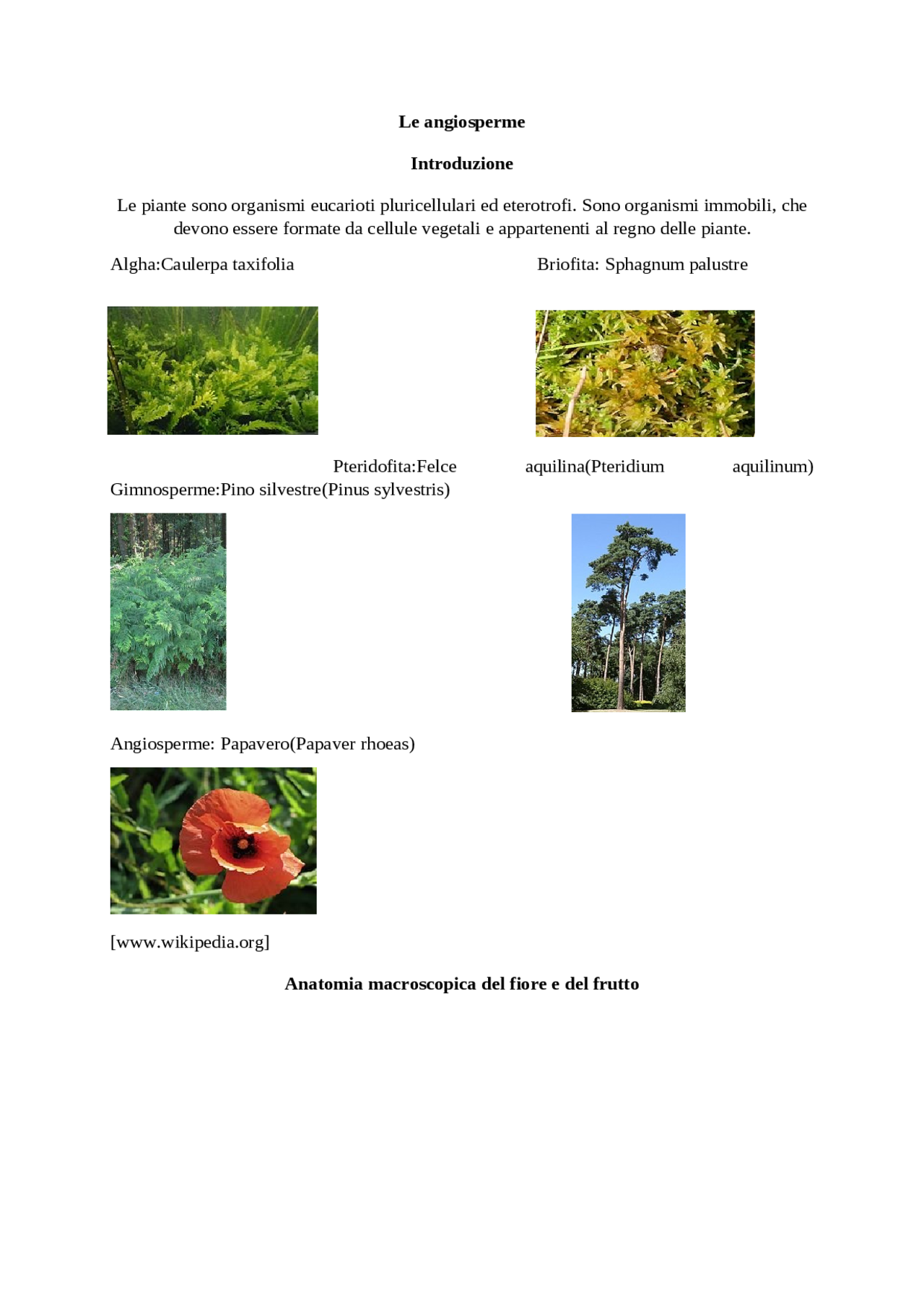 Relazione Laboratorio Botanica Ecampus Esercizi Di Botanica Generale
