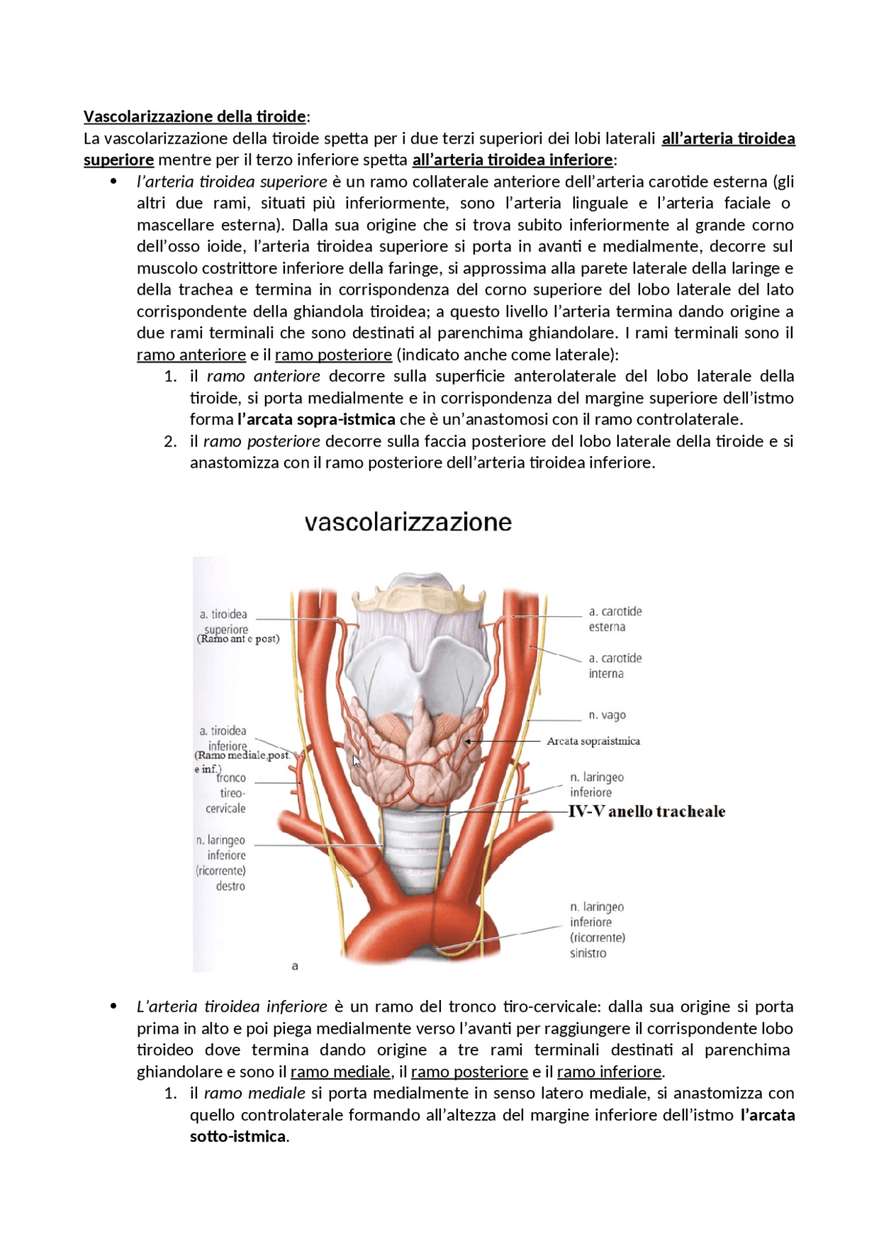 Scienze Della Nutrizione Docsity