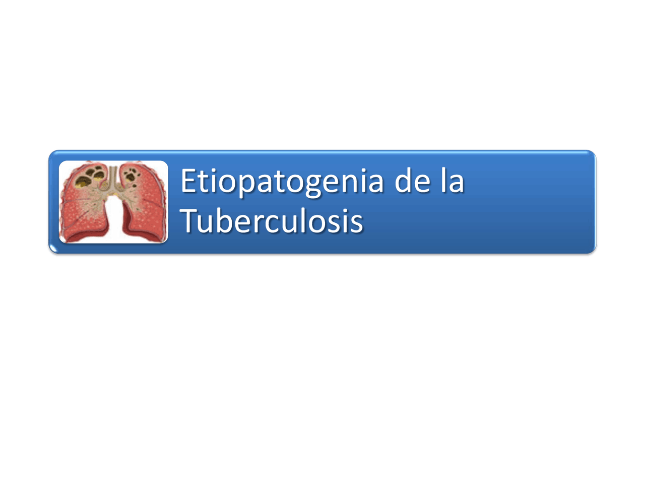 Apuntes De Antibióticos Micro Docsity