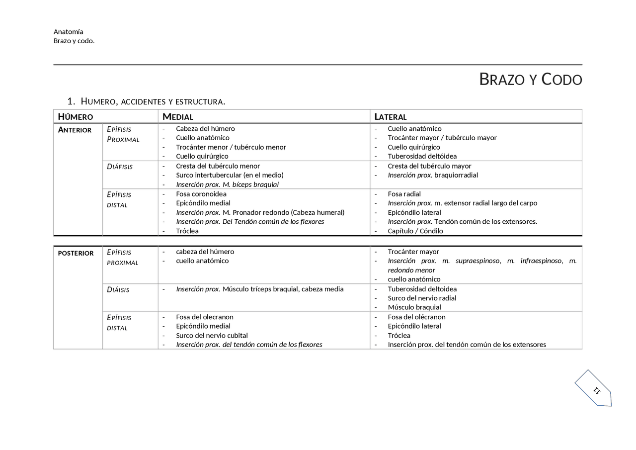 Resumen De Anatomía Brazo Y Codo Docsity