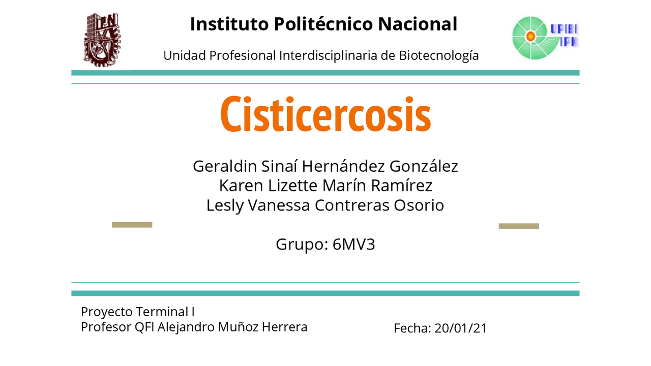 Cisticercosis Presentacion Docsity