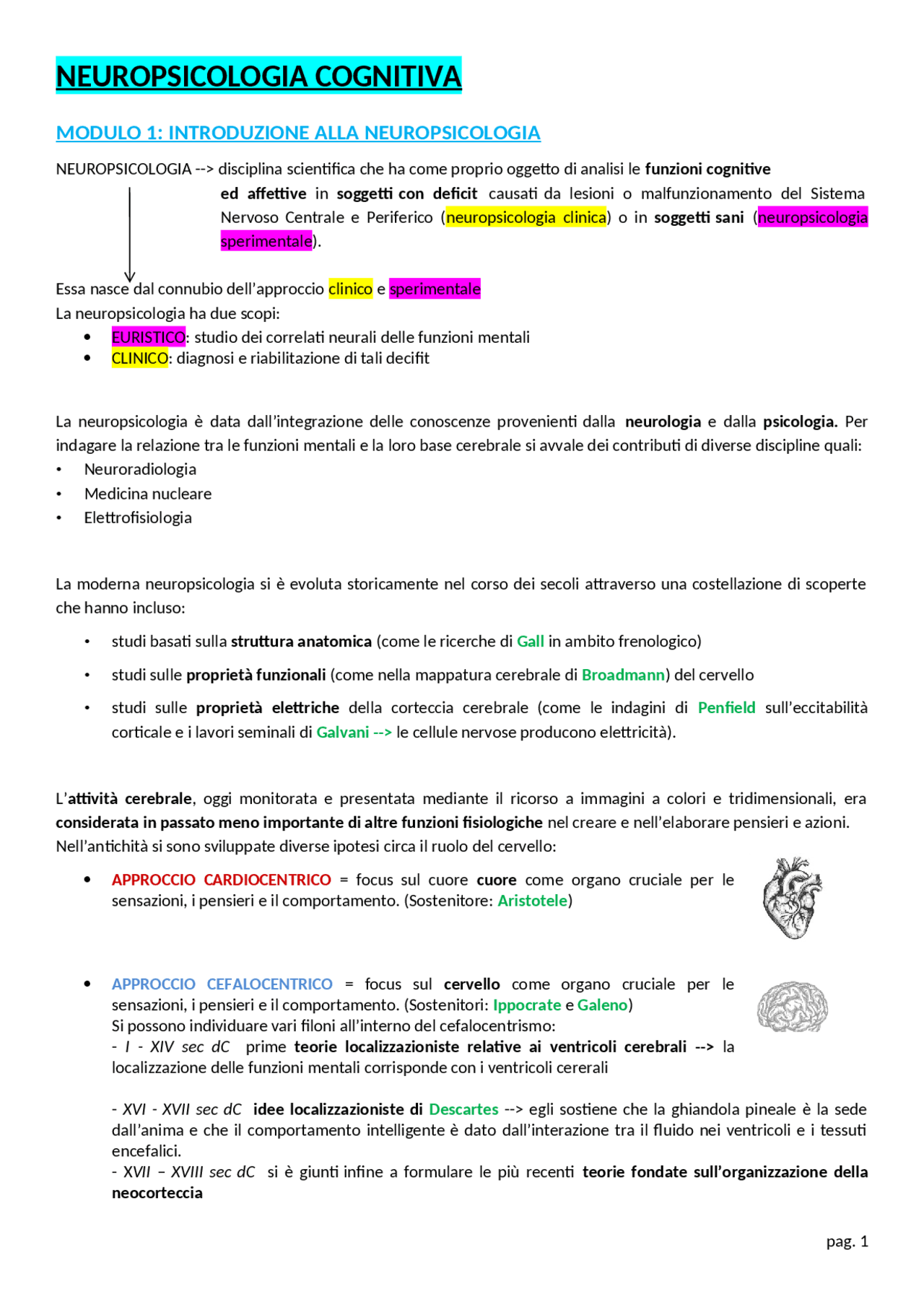 Riassunti Di Neuropsicologia Docsity