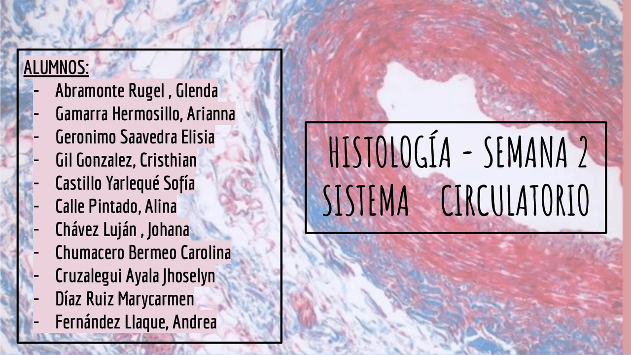 Histologia Sistema Circulatorio Diapositivas De Histología Docsity