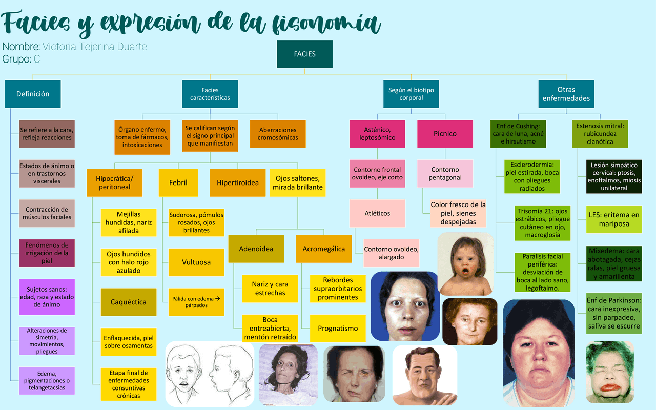 Facies y expresión de la fisonomía - Docsity