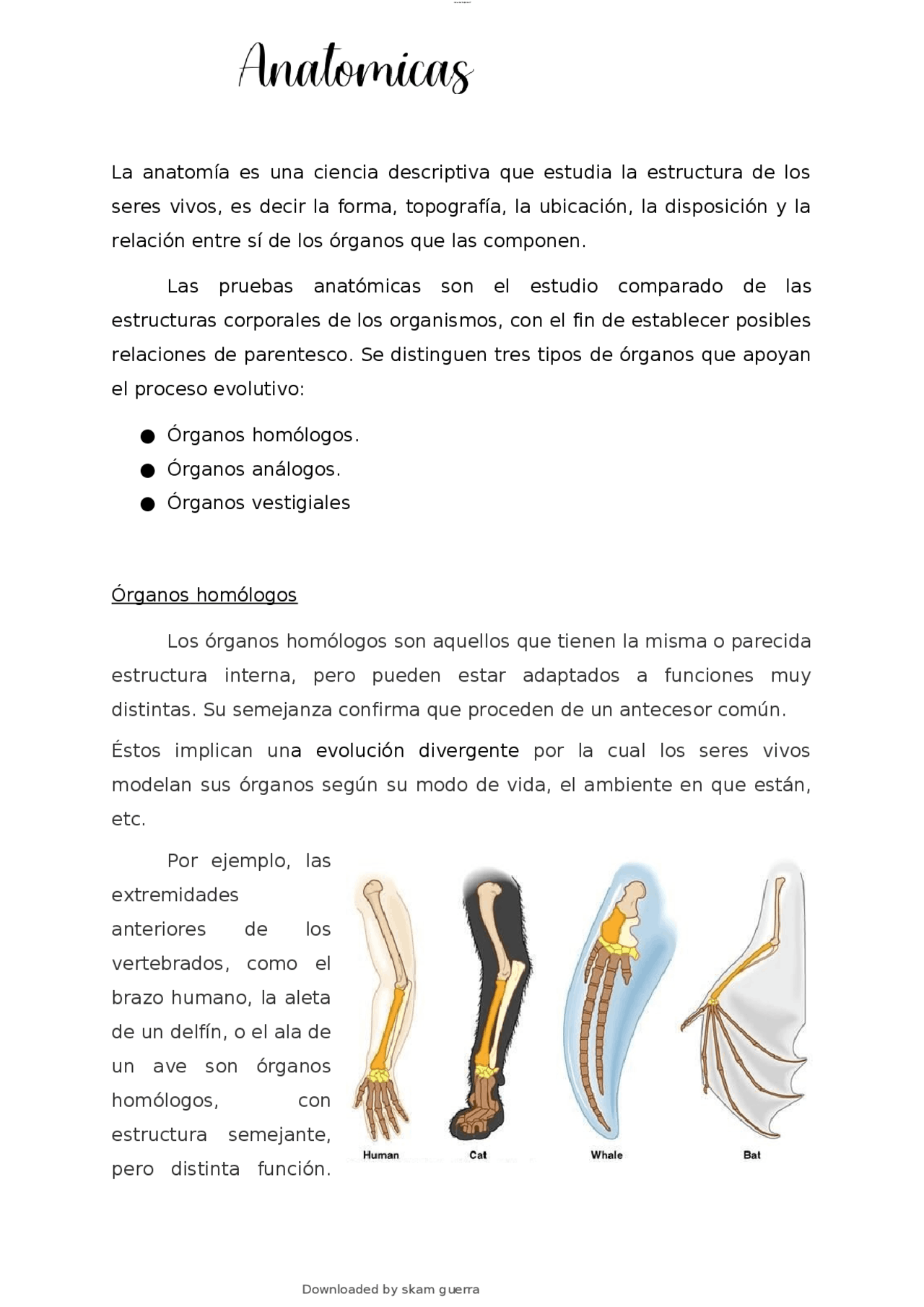 Pruebas de la evolucion - Docsity