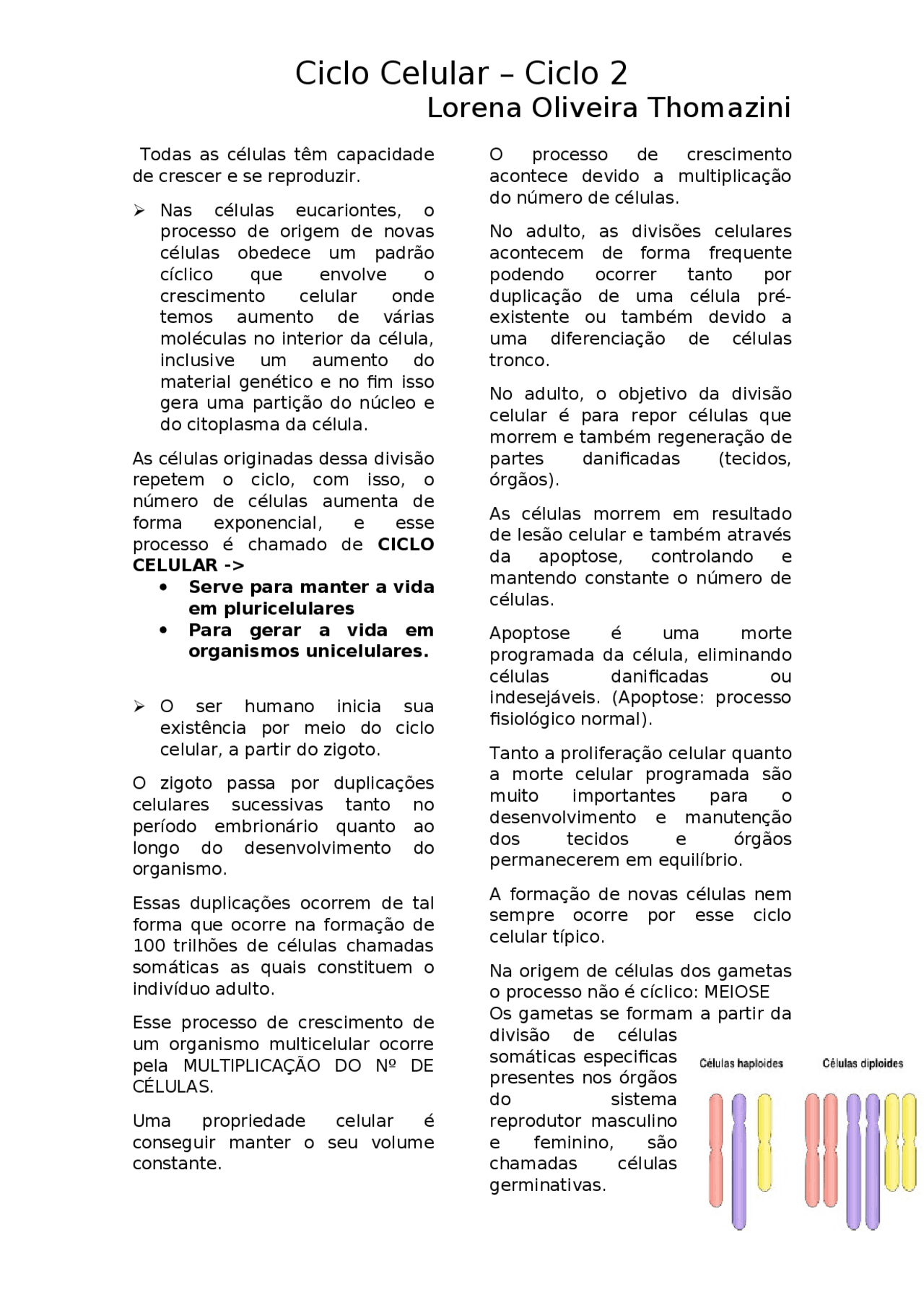 Ciclo Celular Citologia Docsity