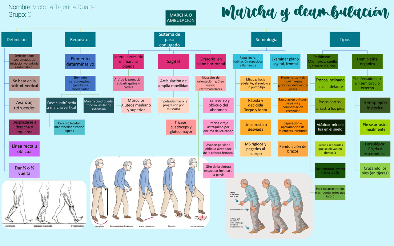 Marcha y deambulación | Esquemas y mapas conceptuales de Semiología ...