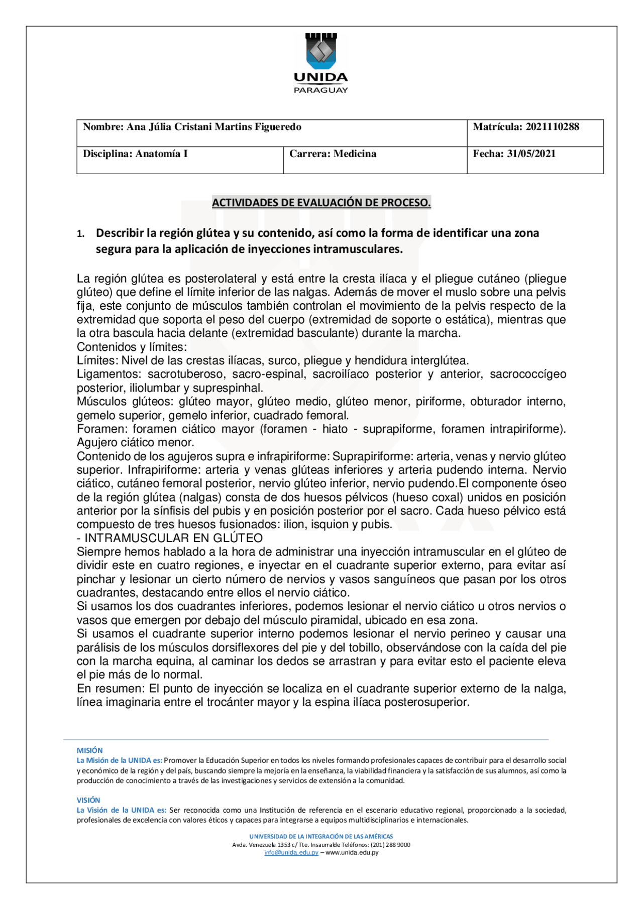 Anatomia Miembro Inferior Docsity