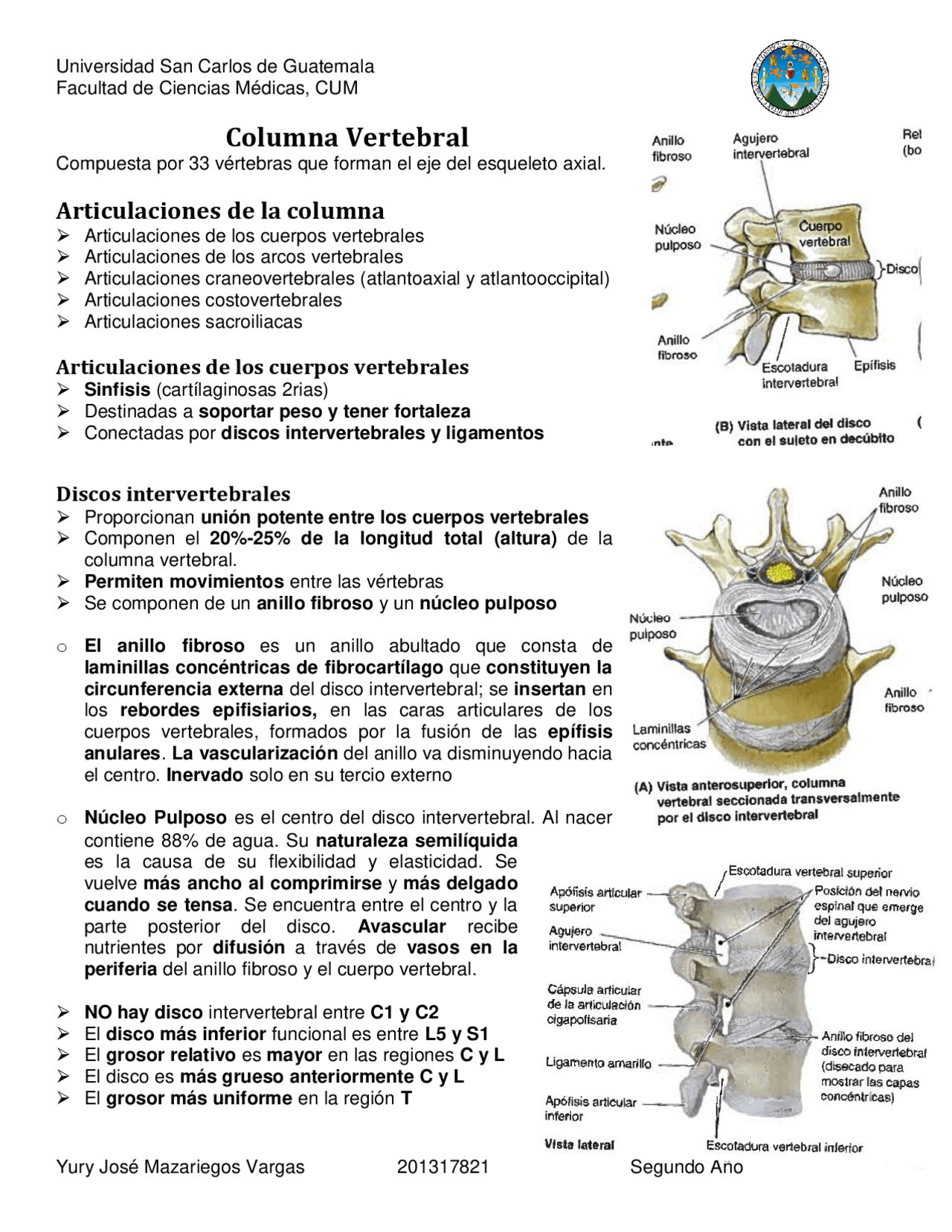 Anatomía de la columna vertebral - Docsity