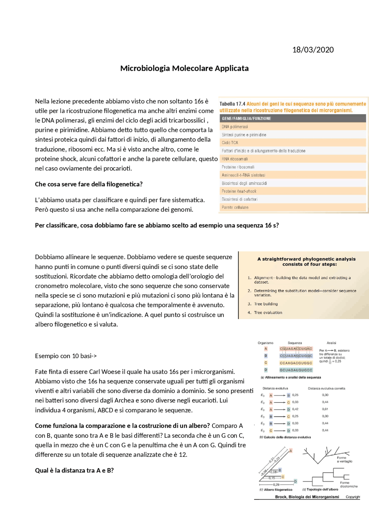 Tassonomia E Filogenesi Docsity
