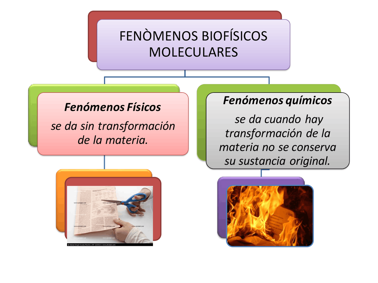 Fenomenos Biofisicos Moleculares | Diapositivas de Biofísica - Docsity