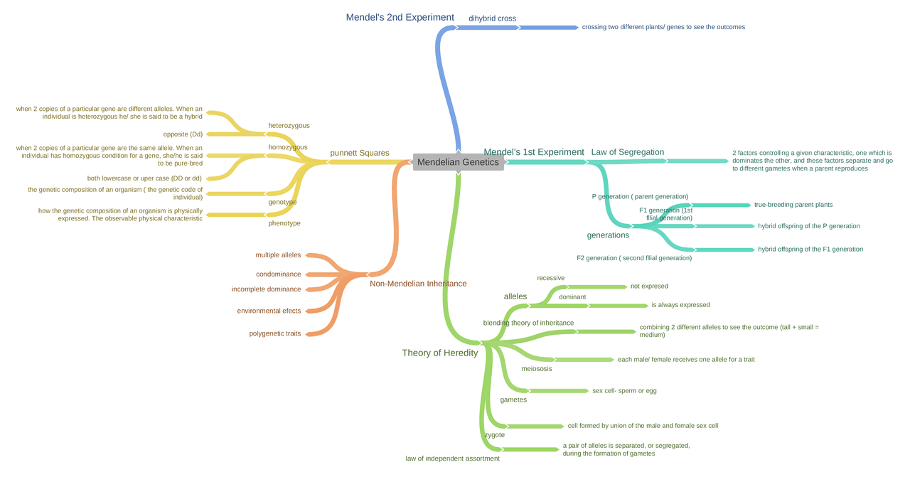 Mendelian Genetics Concept Map Schemes And Mind Maps Genetics Docsity