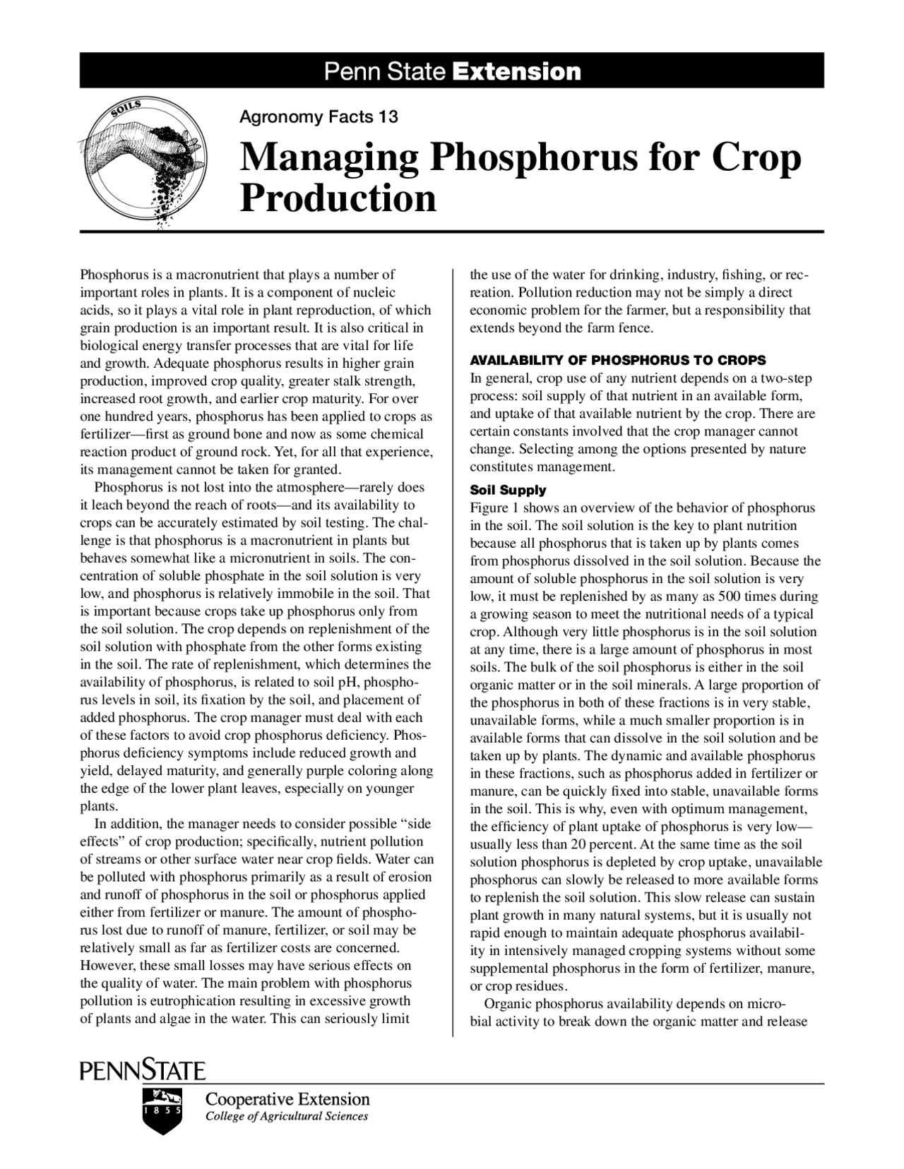 Managing Phosphorus For Crop Production Docsity