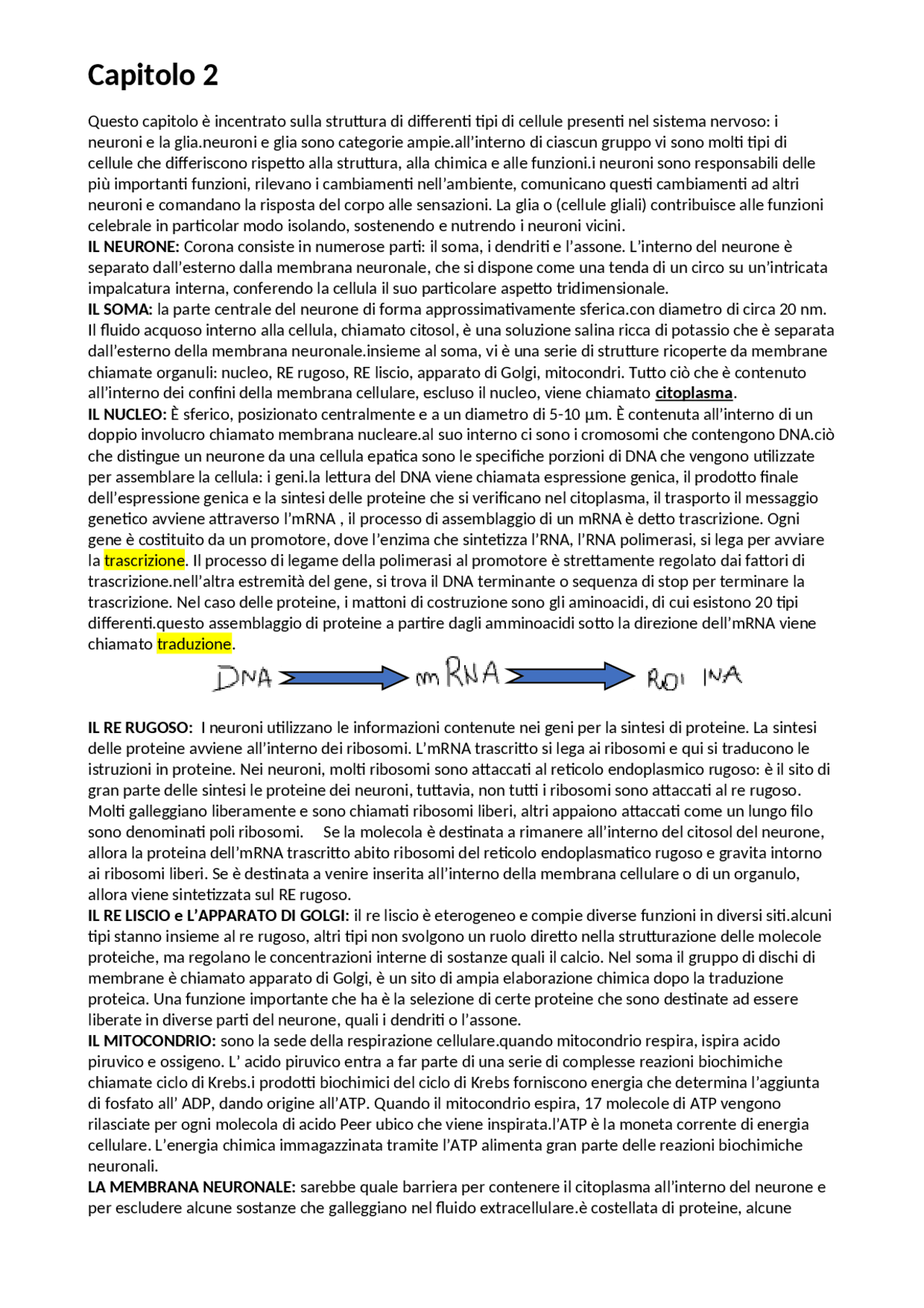 Capitolo 2 Bear Neuroscienze Docsity