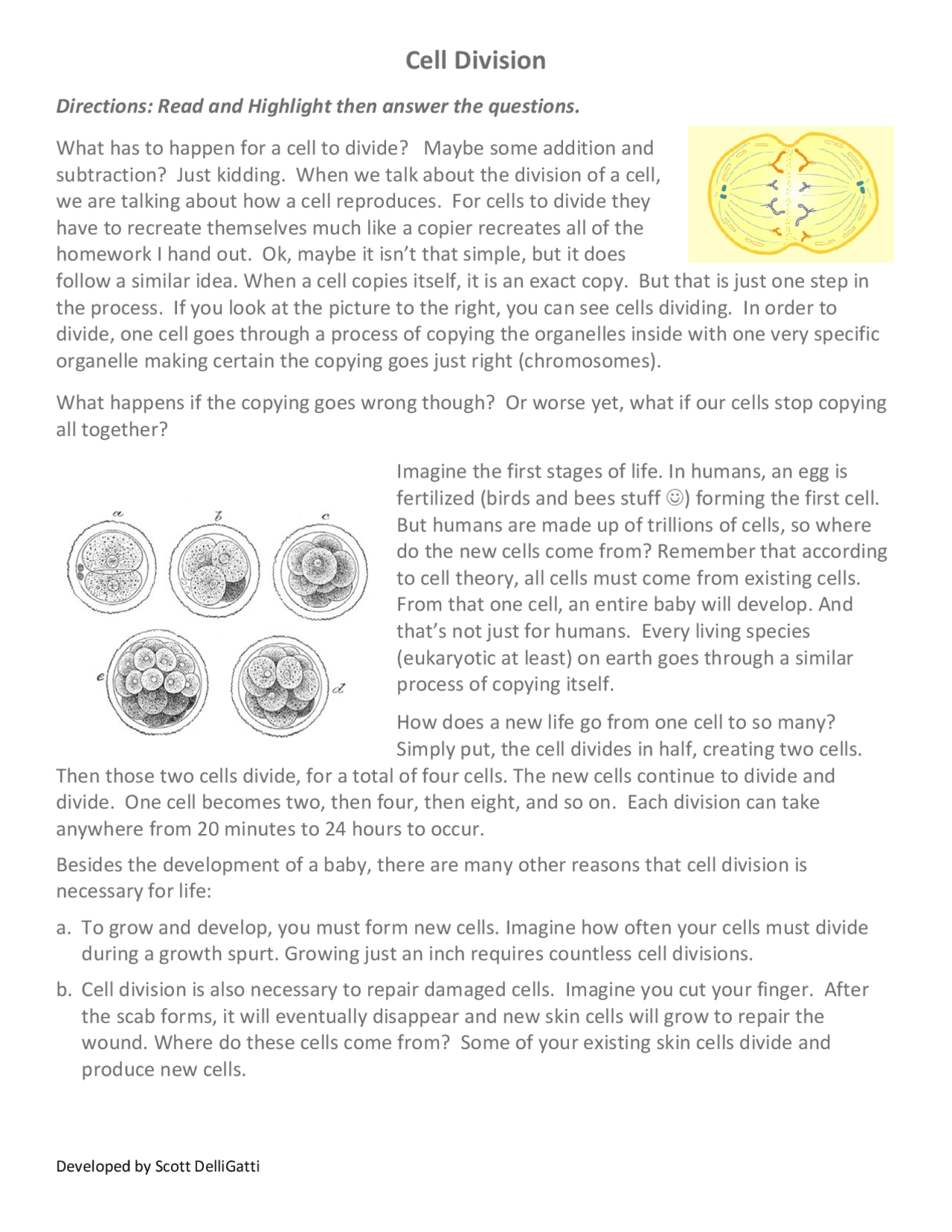 CELL DIVISION LEARNING MATERIAL, CAN BE USED IN REVIEWING. - Docsity
