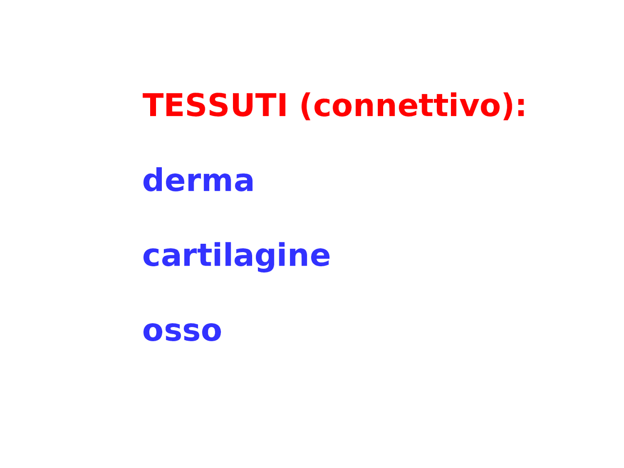 Tessuti Connettivi Derma Cartilagine Ed Osso Docsity