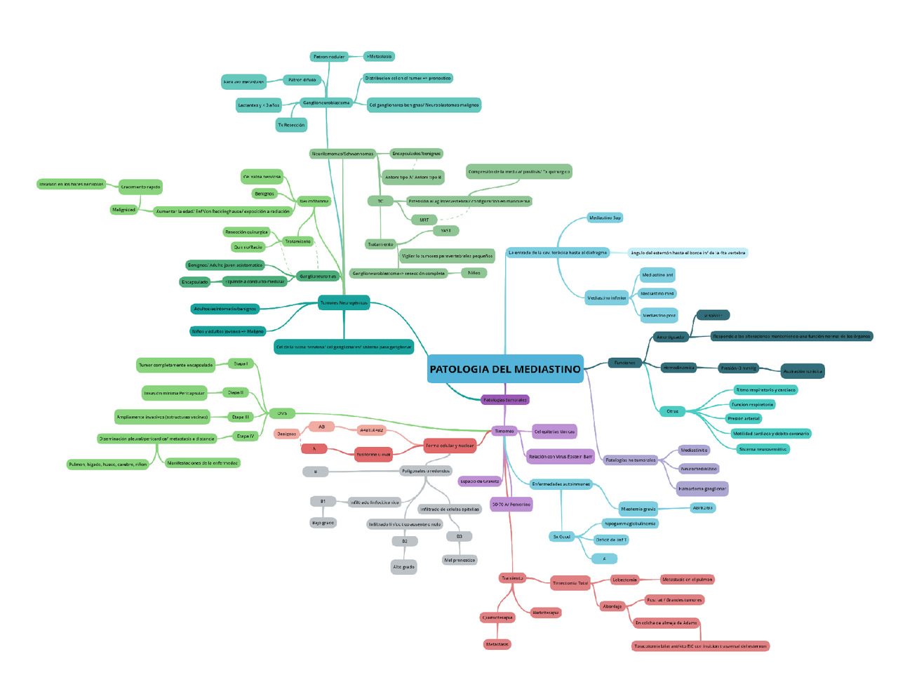 Mapa mental patología del mediastino | Esquemas y mapas conceptuales de Patología Quírurgica ...