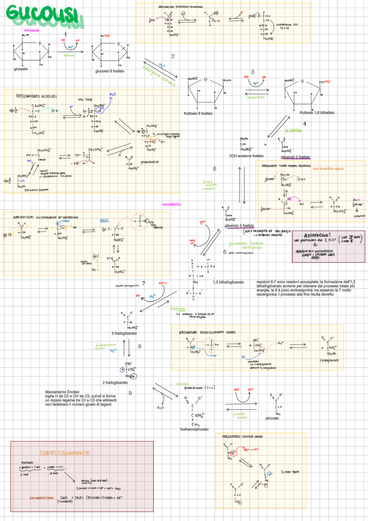 Schema Riassuntivo Glicolisi - Docsity
