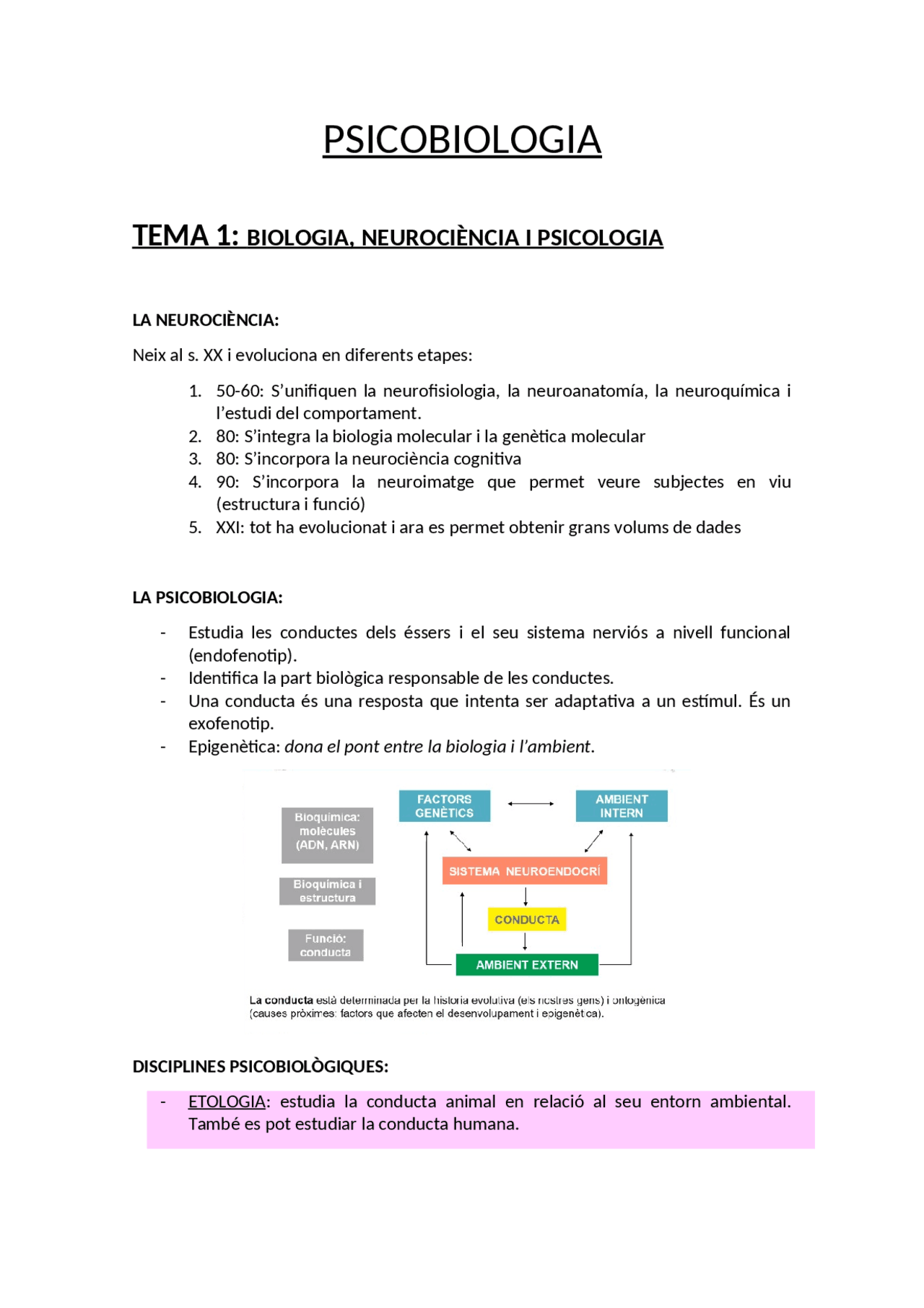 Apunts Bloc 1 Curs 2020 Docsity