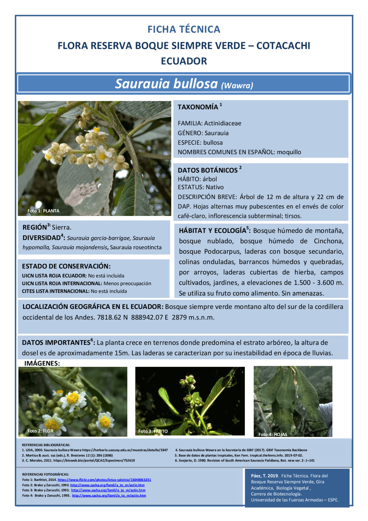 Planta Moquillo ficha - Docsity