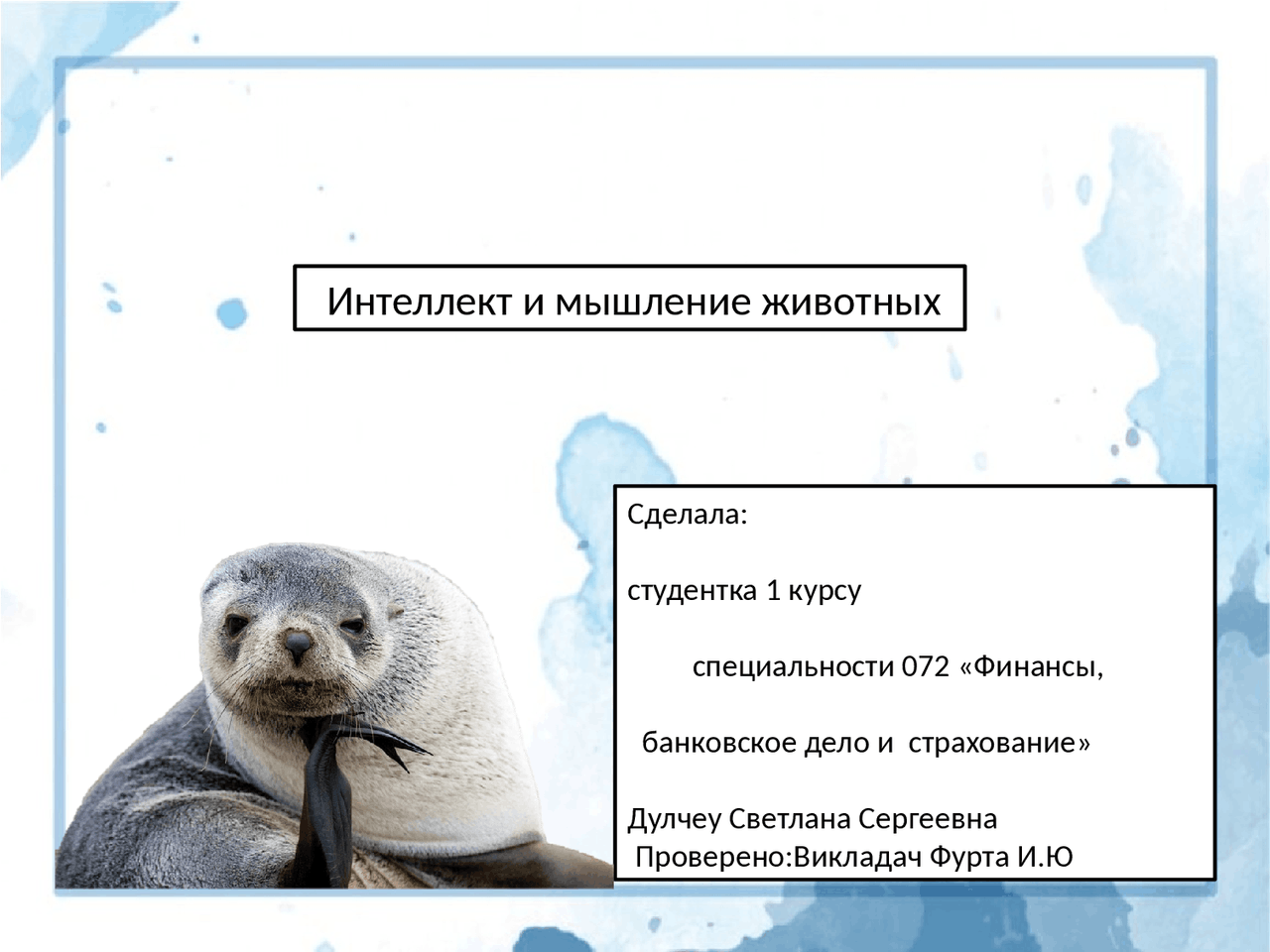 презентация по философии Docsity