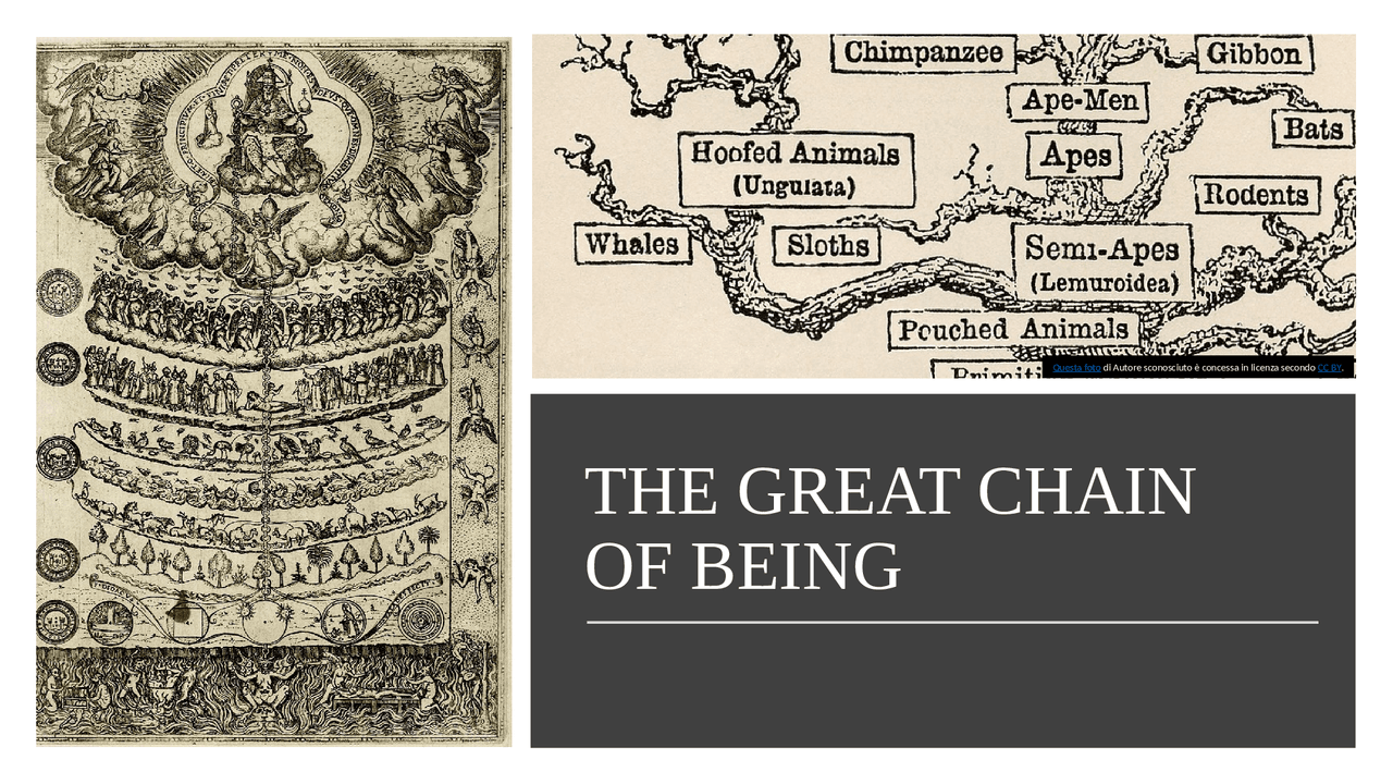 The great chain of being - Docsity