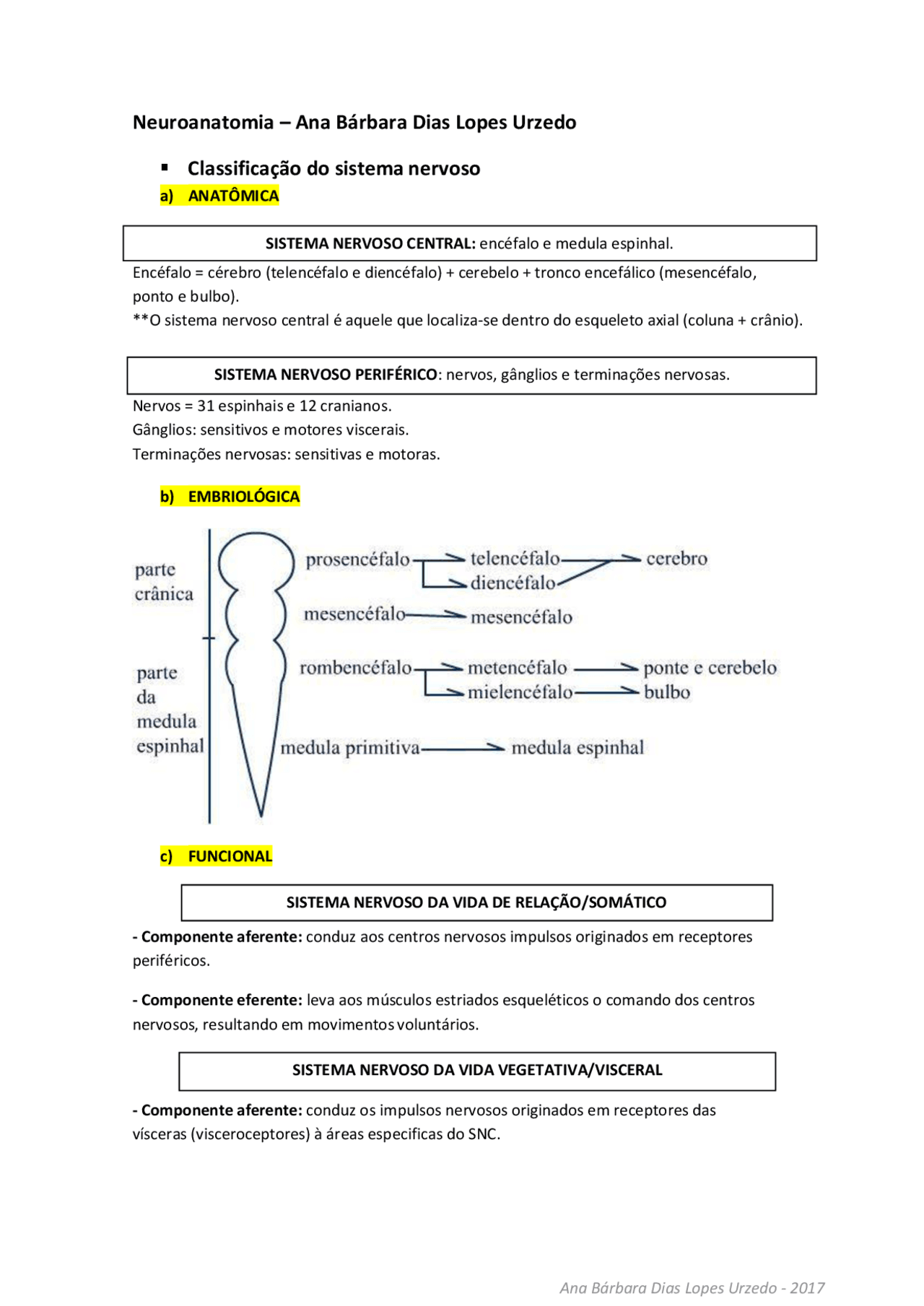 Resumo De Neuroanatomia Docsity
