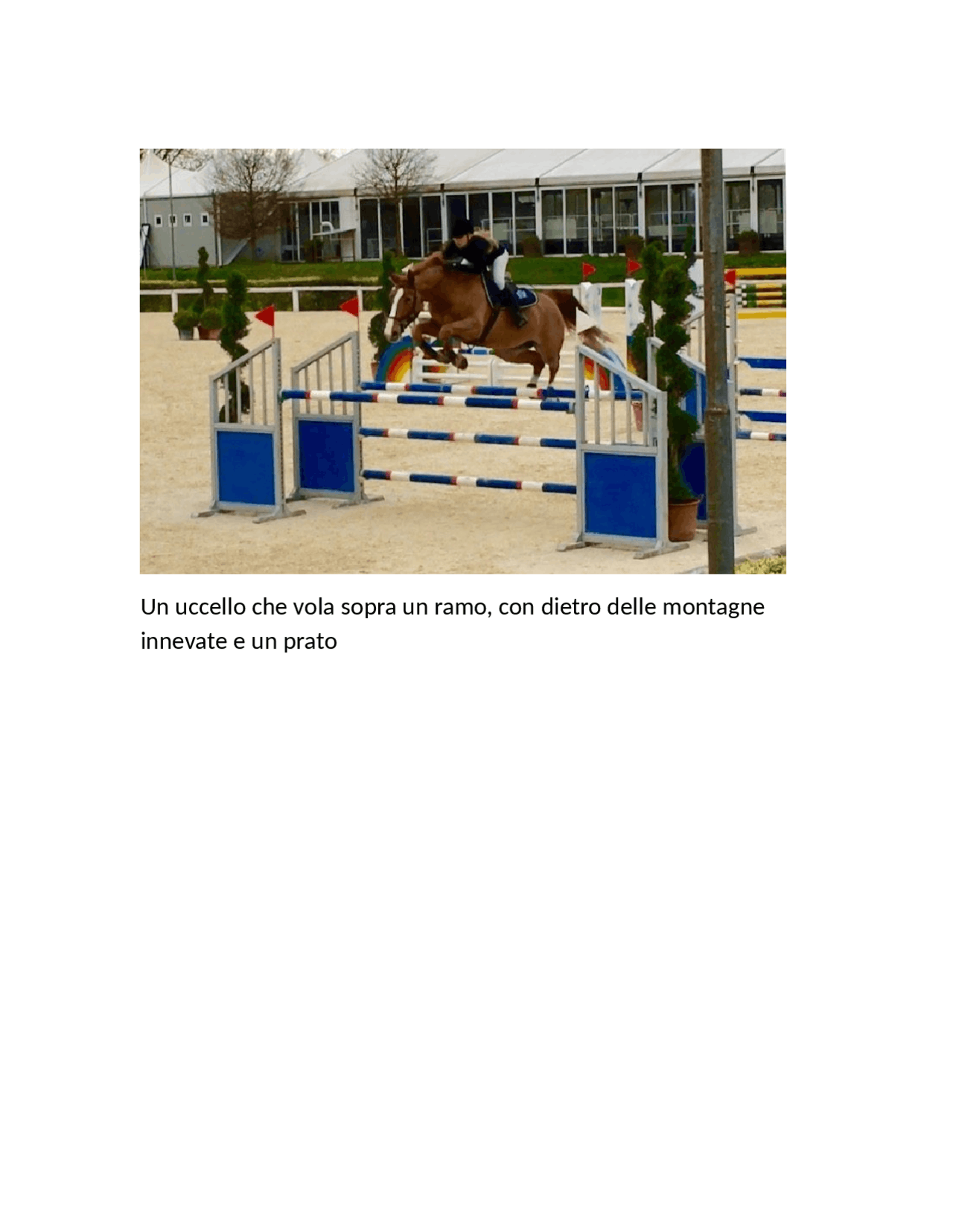 Esercizi Educazione Fisica Docsity