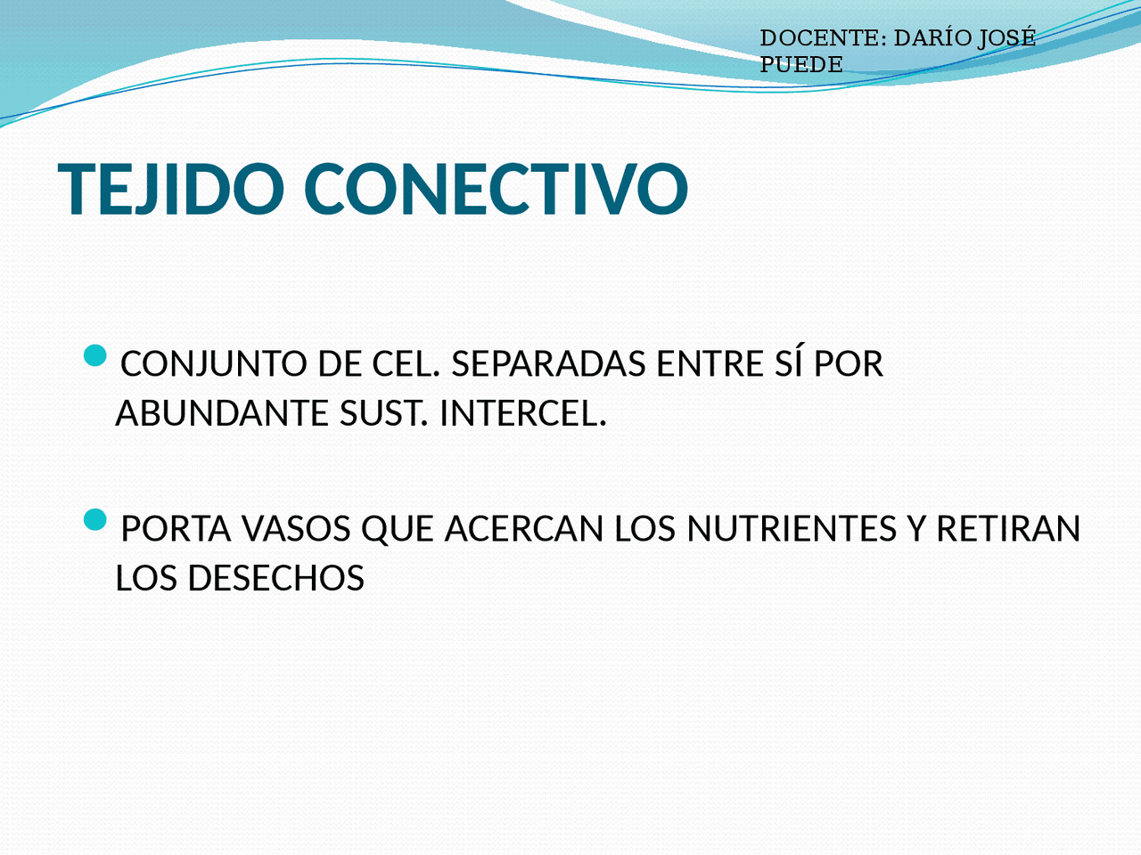 Tejido Conectivo Powerpoint Diapositivas De Anatomía Docsity