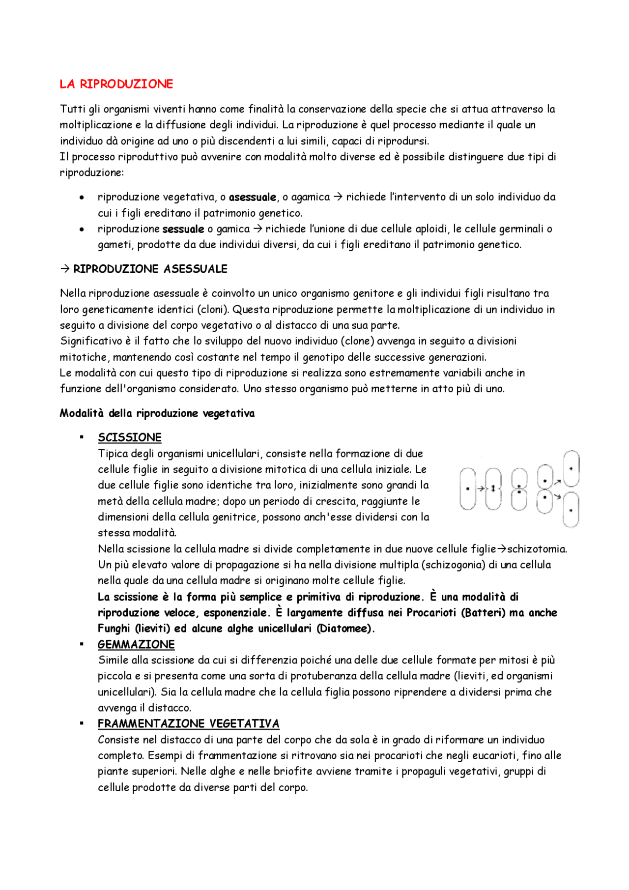 Appunti Di Biologia Vegetale Docsity
