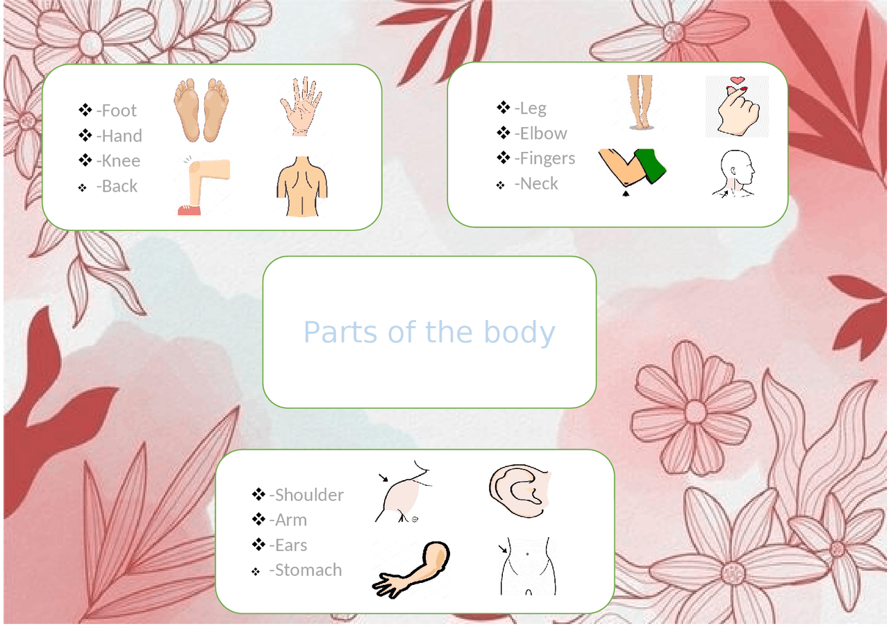 Esquema parst of the body - Docsity