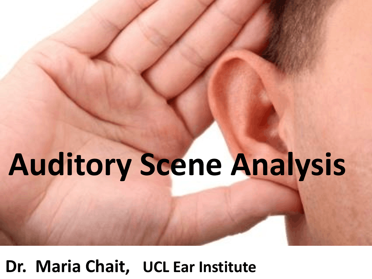 Psychology of Auditory Scene Analysis | Lecture notes Psychology | Docsity