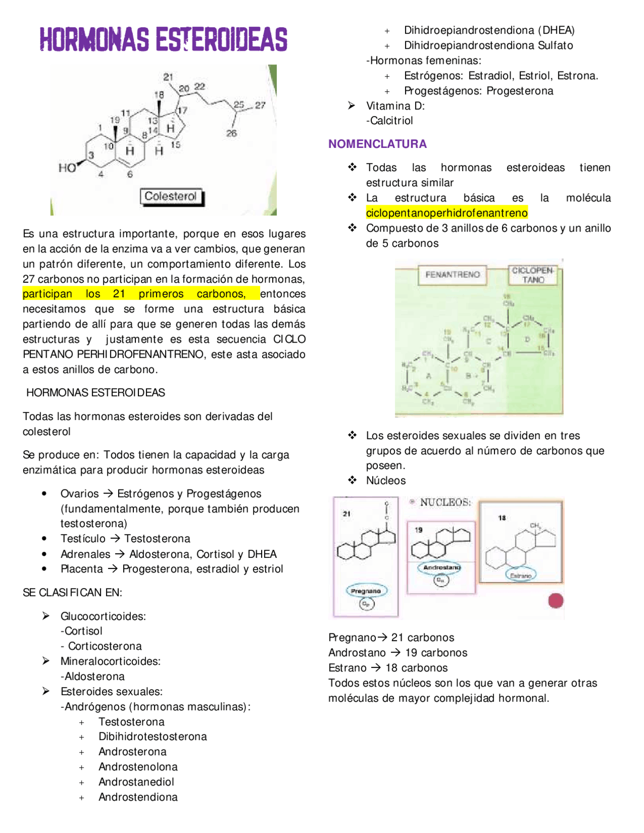 Hormonas Esteroideas Docsity