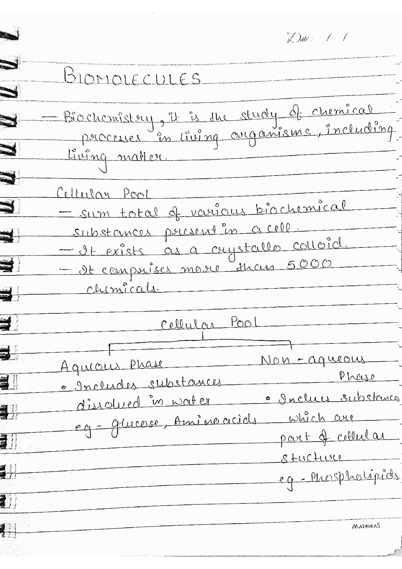 Biomolecules ( biology ) grade 11 | Study notes Biology | Docsity
